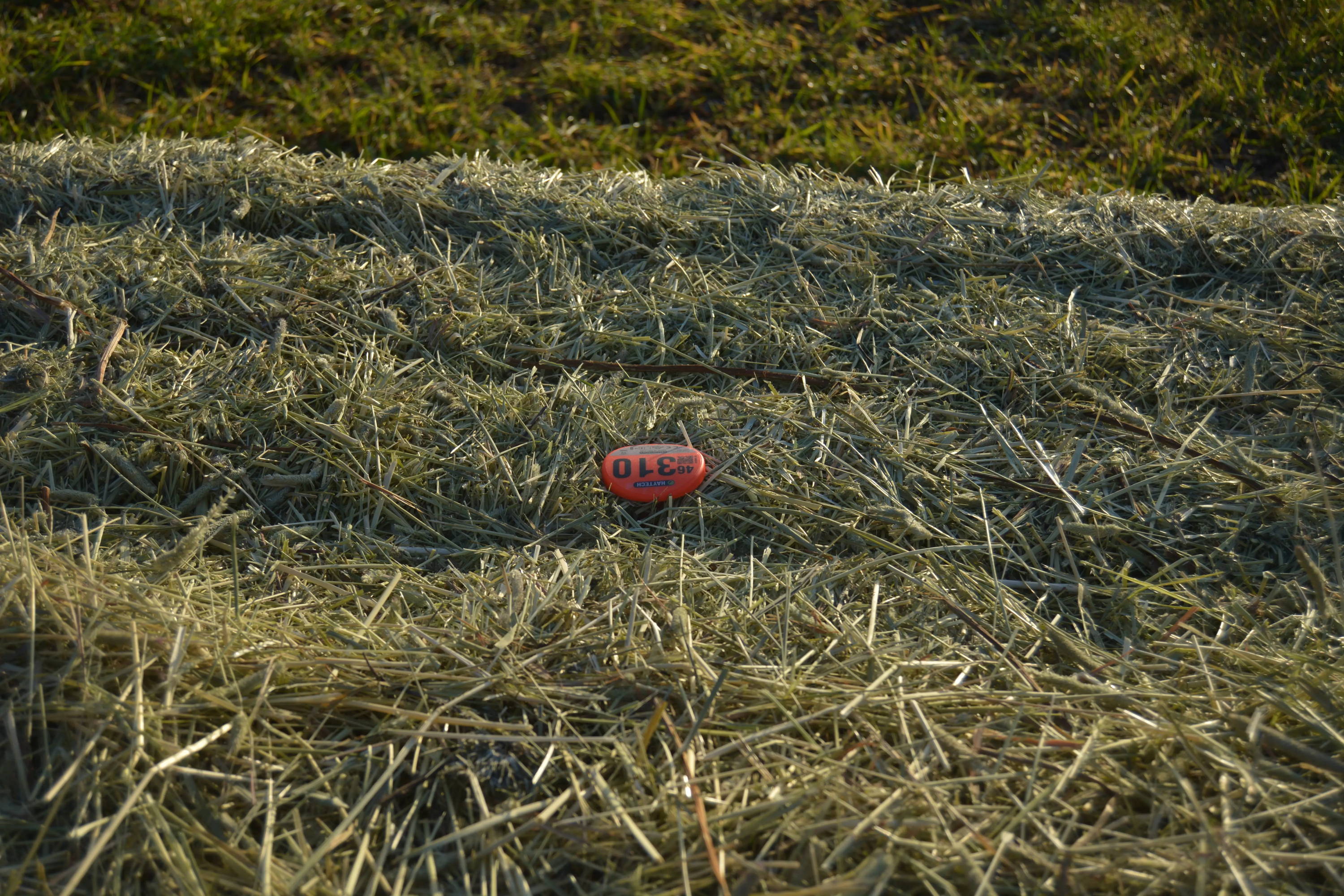 HAYTECH probes – Quanturi